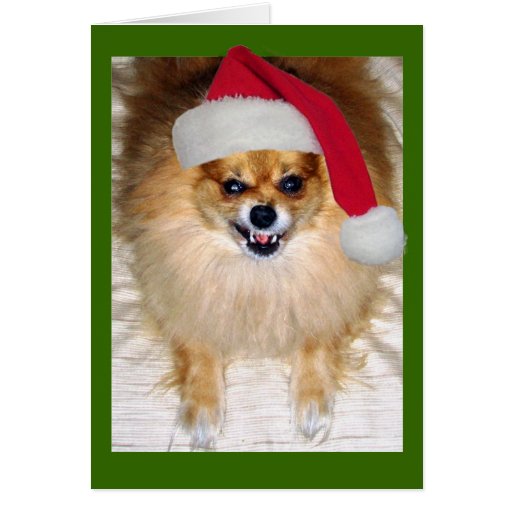 Bad Santa Christmas Card Zazzle
