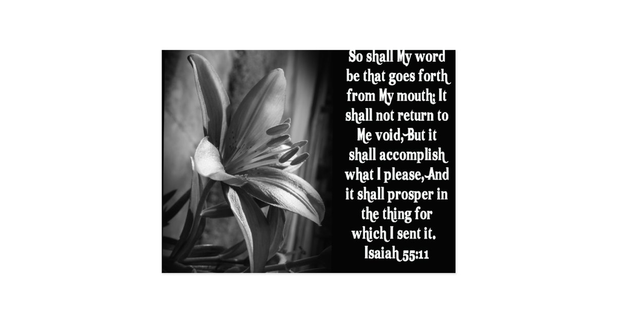 BIBLE SCRIPTURE ISAIAH 55 11 POSTCARD Zazzle bible-scripture-isaiah-55-11-postcard-zazzle