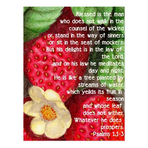 Bible verse and strawberry postcard | Zazzle