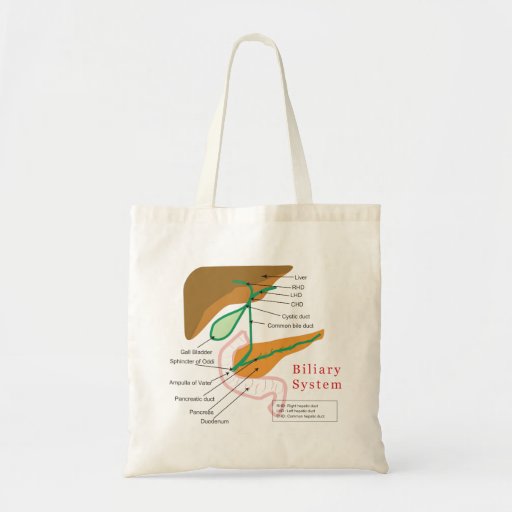 Biliary System Diagram Chart Bile Duct Canvas Bags Zazzle