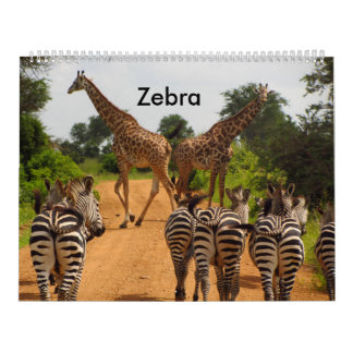 Zebra Calendars | Zazzle