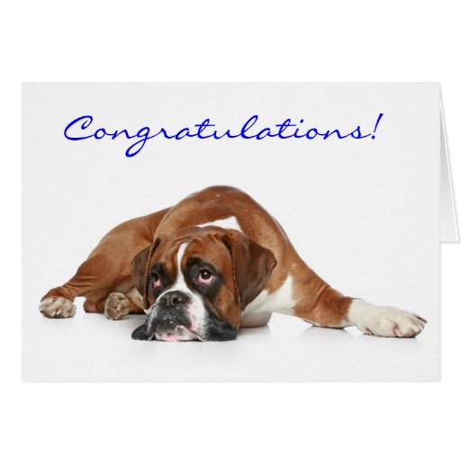 Congratulations Dog