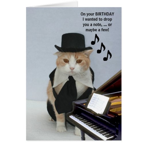 Customizable Funny Cat Greeting Card Zazzle Customizable Funny Cat Greeting Card Zazzle