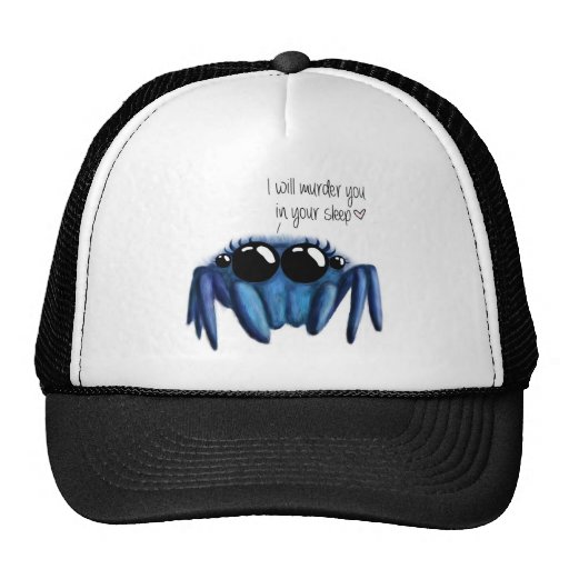 Albums 92 Pictures Spider Wearing A Raindrop As A Hat Completed