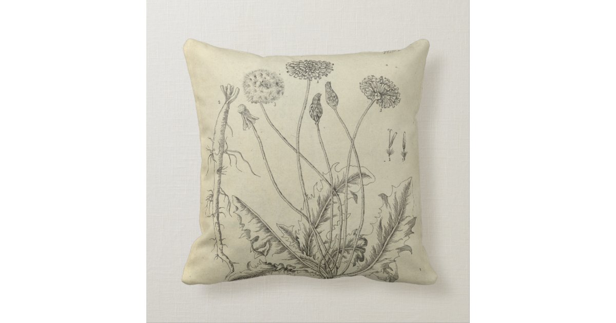 Dandelion Throw Pillow Zazzle