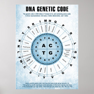 Dna Posters | Zazzle