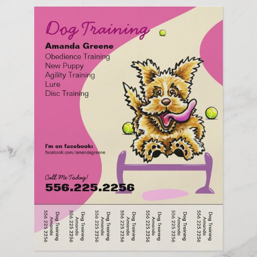 Dog Training Trainer Active Terrier Ad Tear Sheet Personalized Flyer