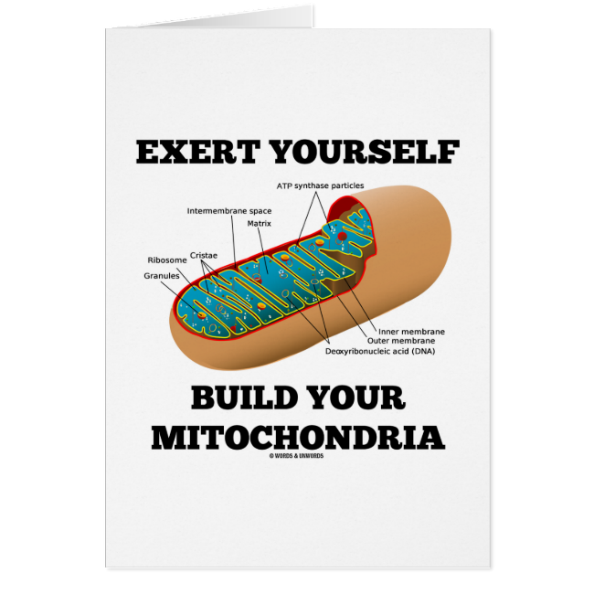 Mitochondrion — Words & Unwords