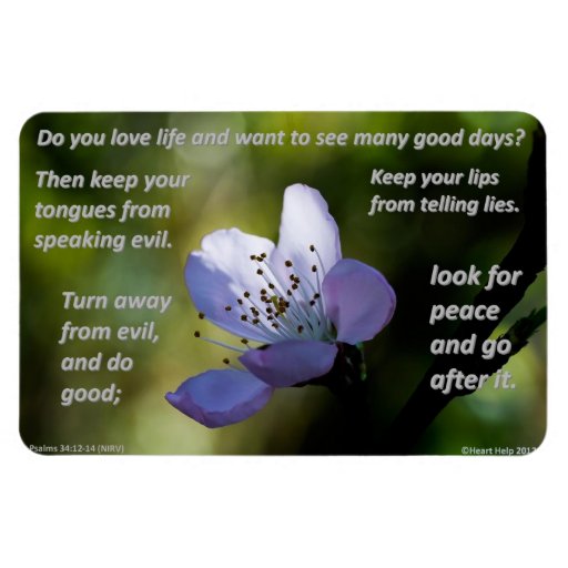 Flexible Magnet Psalms 34 12 14 Zazzle Flexible Magnet Psalms 34 12 14 Zazzle