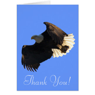 Eagle Thank You Cards | Zazzle