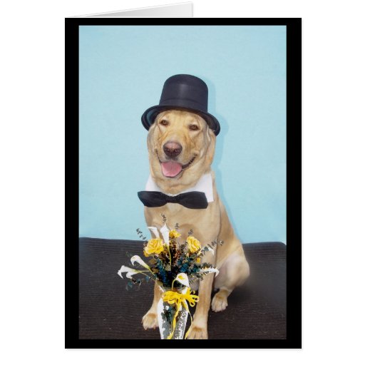 Formal Birthday Wishes Card Zazzle formal-birthday-wishes-card-zazzle