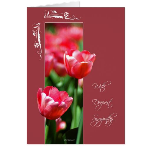 Framed Flower Tulips-Deepest Sympathy Card | Zazzle Framed Flower Tulips-Deepest Sympathy Card | Zazzle