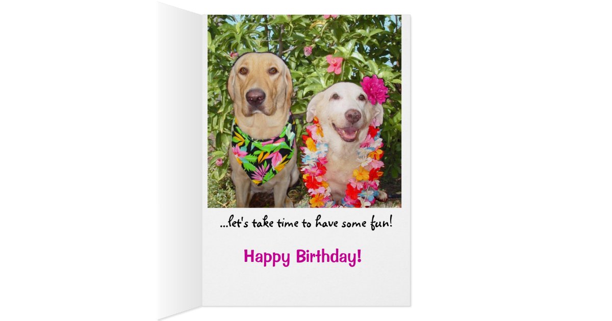 Funny Husband Birthday Card Zazzle funny-husband-birthday-card-zazzle