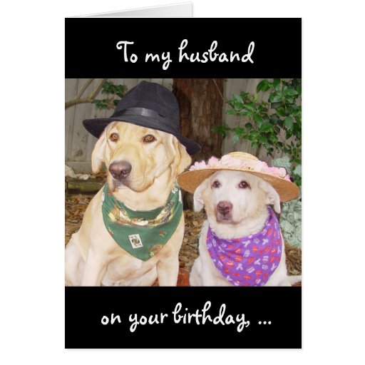 Funny Husband Birthday Greeting Card Zazzle
