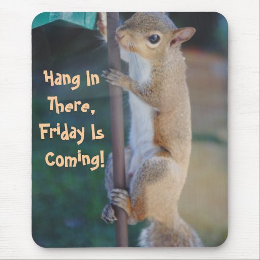 Hang In There Friday Is Coming Squirrel Mousepad Zazzle