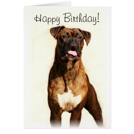 Happy Birthday Boxer Dog Greeting Card Zazzle happy-birthday-boxer-dog-greeting-card-zazzle