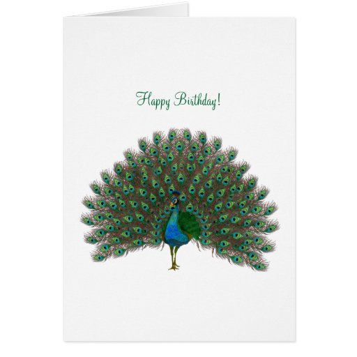 Happy Birthday Peacock Greeting Card Zazzle