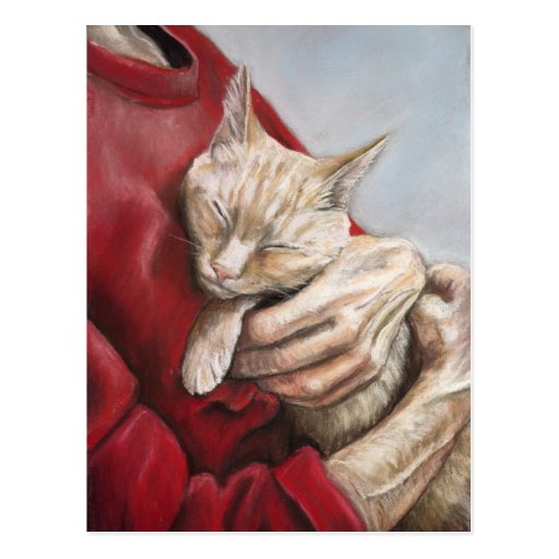 Hold Me Tight Cat Art Postcard Zazzle