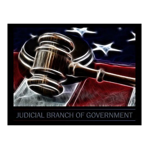 Judicial Branch Of Government Poster | Zazzle