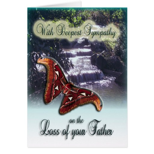 Loss Of Father With Deepest Sympathy Card Zazzle