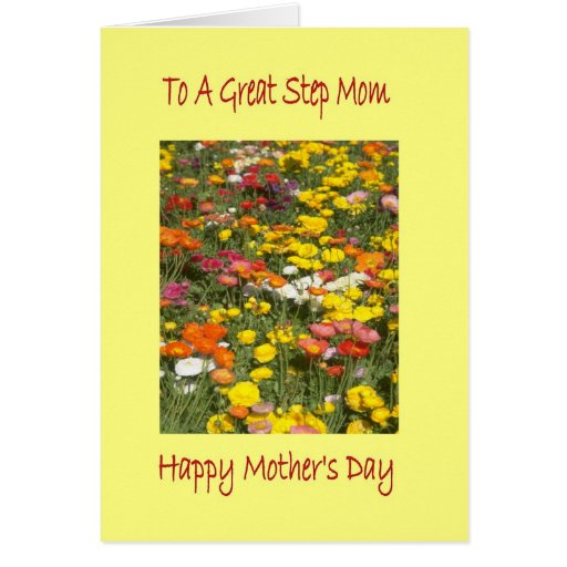 Mother Day Step Mom Card Zazzle