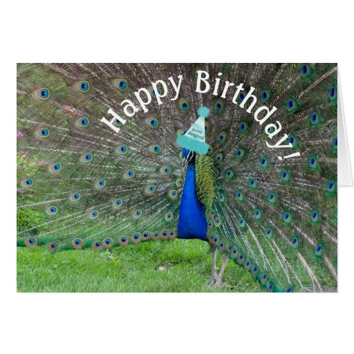 Peacock Strut•happy Birthday Greeting Card Zazzle