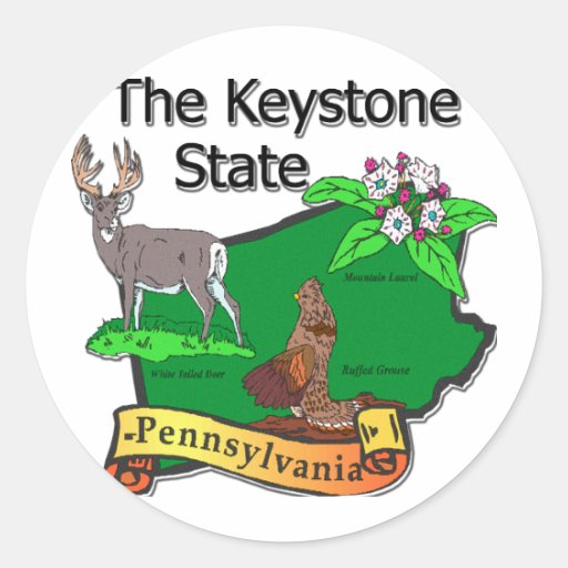 Pennsylvania State Bird And Flower