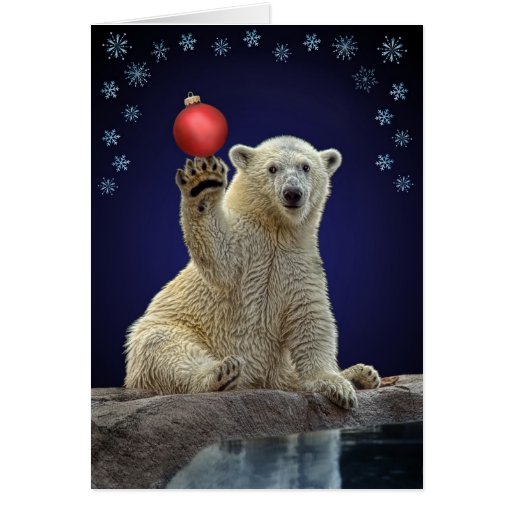 Polar Bear Cub Holiday Card Zazzle