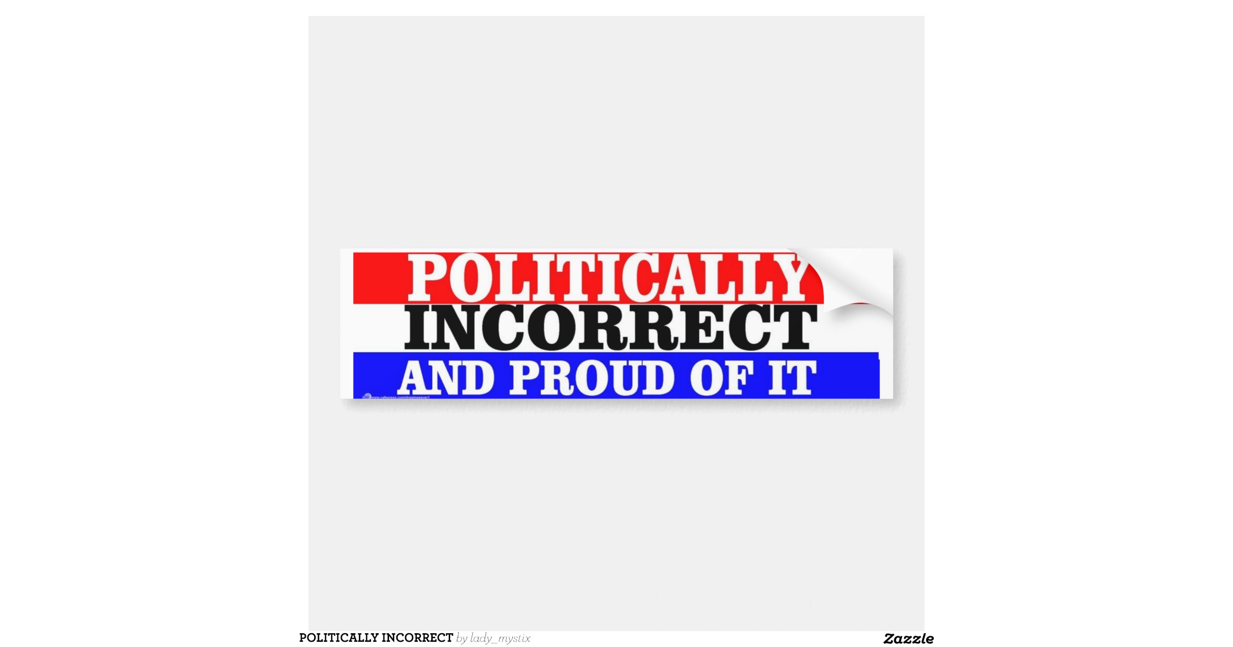 Politically Incorrect Car Bumper Sticker