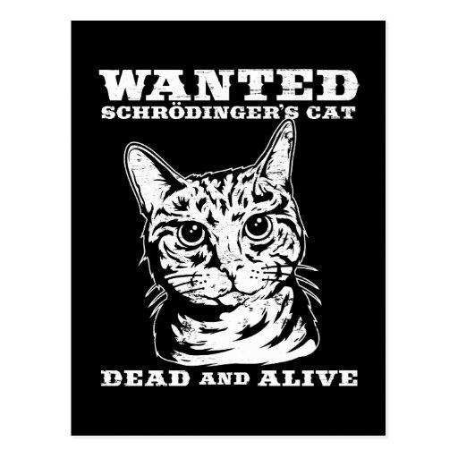 Schrodingers Cat Wanted Dead Or Alive Postcard Zazzle