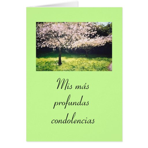 Spanishpesame Sympathy Card Zazzle