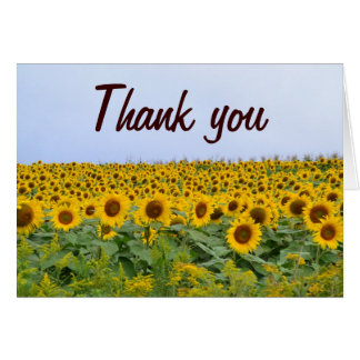 Sunflower Thank You Cards | Zazzle