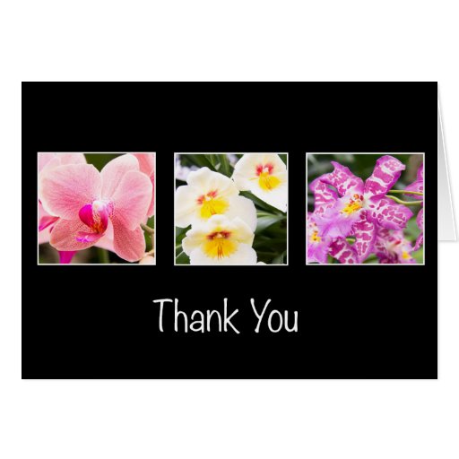 thank-you-variety-of-orchids-greeting-card-zazzle