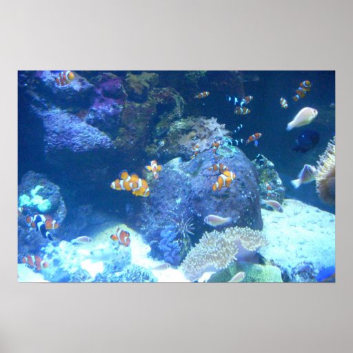 Under the sea Poster | Zazzle