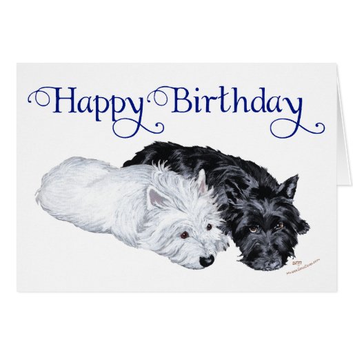 Westie And Scottie At Ease Greeting Card Zazzle