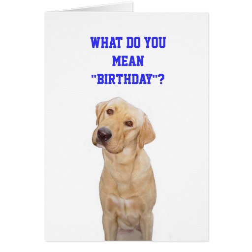 Numerology July 13 What Do Birthdays Mean In Dreams Gifts For New
