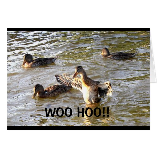 Woo Hoo So Happy For You Card Zazzle
