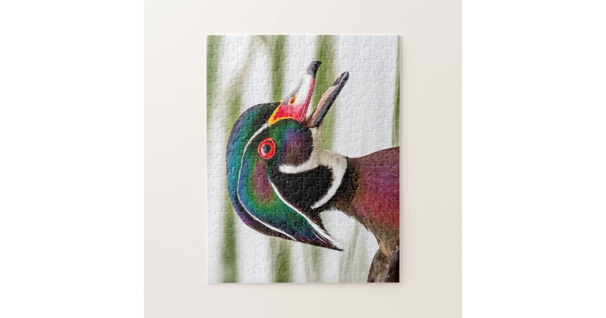 Wood Duck Jigsaw Puzzle | Zazzle Wood Duck Jigsaw Puzzle | Zazzle