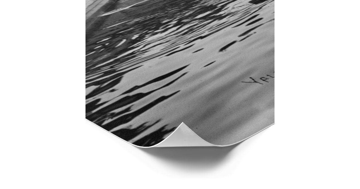 Yale University Rowing Crew Team Photograph Poster Zazzle yale-university-rowing-crew-team-photograph-poster-zazzle