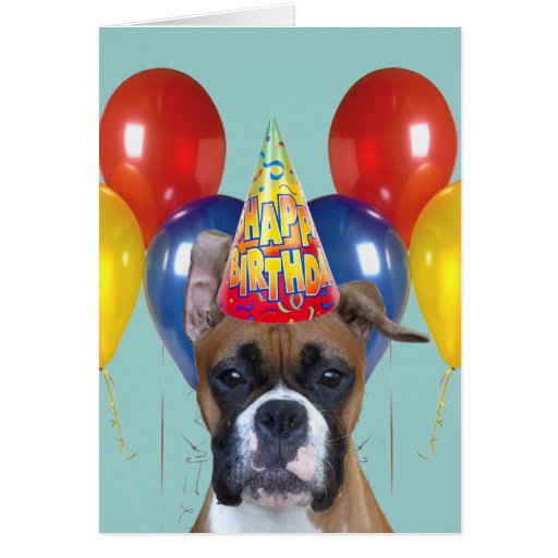 BOXERS ("BIRTHDAYS") ....... on Pinterest | Happy Birthday, Boxer Dogs ...