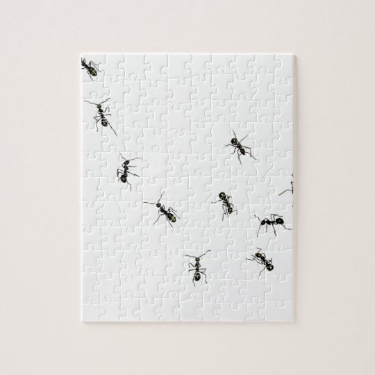 10 ants jigsaw puzzle | Zazzle.com