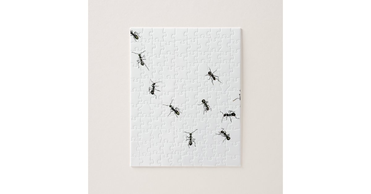 10 ants jigsaw puzzle | Zazzle