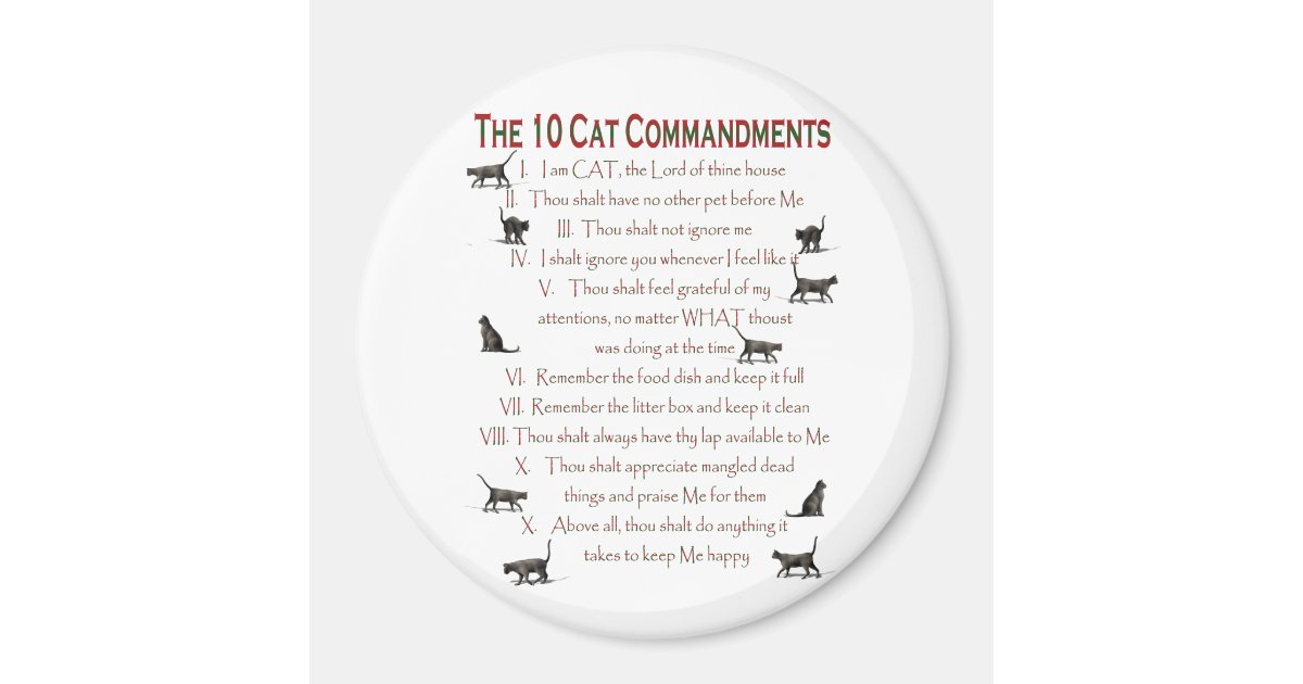 10 CAT Commandments Magnet | Zazzle