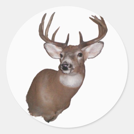 10 Point Buck Classic Round Sticker | Zazzle