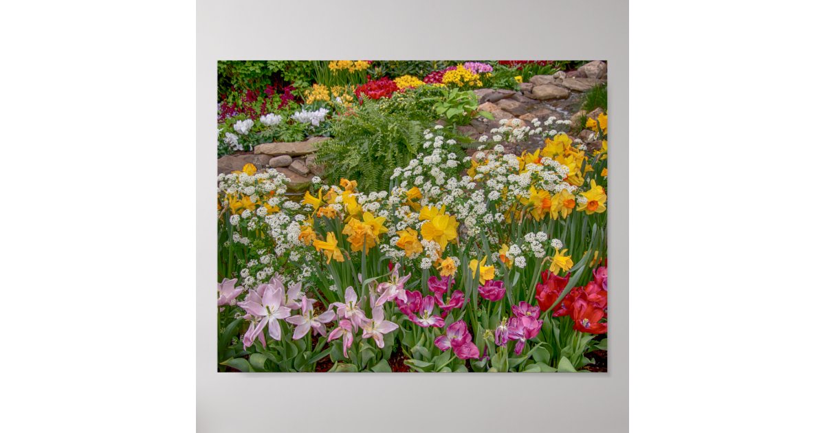 10x8 Colorful Spring Flowers in full bloom Poster | Zazzle