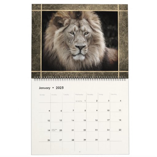12 Beautiful Lions Photo Images Calendar | Zazzle