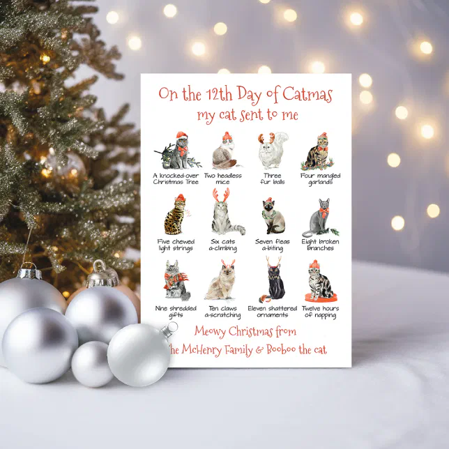 12 days of Catmas Christmas Cat Holiday Card | Zazzle