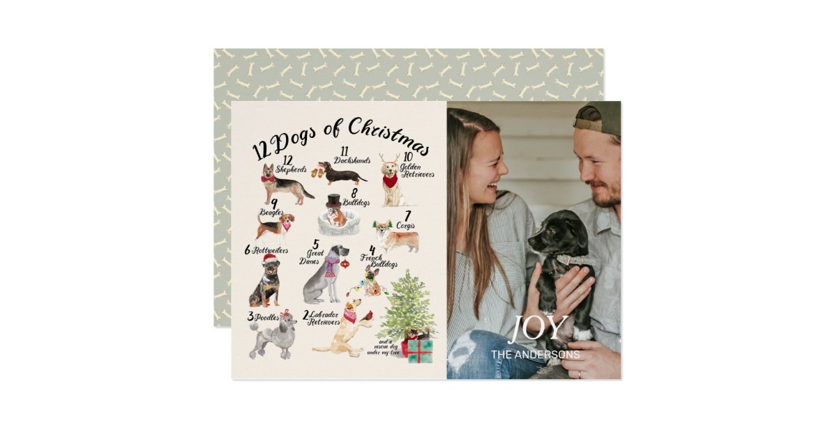 12 Dogs of Christmas Joy Holiday Photo Card | Zazzle.com