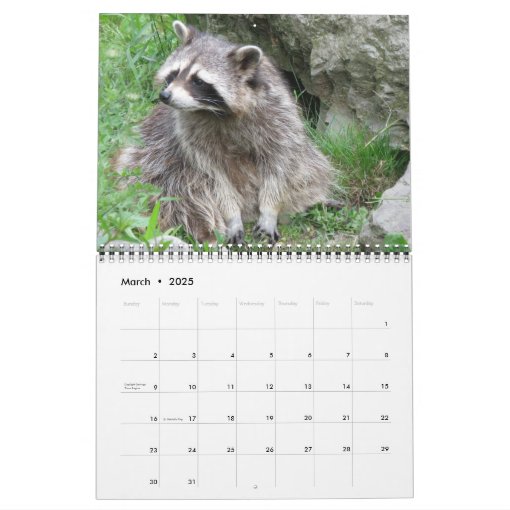 12 Months of Adorable Raccoons Calendar 2016 | Zazzle