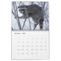 12 Months of Adorable Raccoons Calendar 2016 | Zazzle